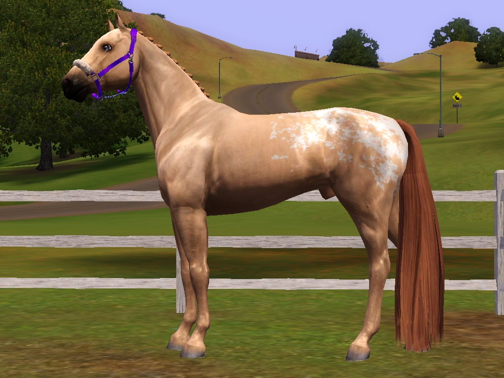 Domino :: hrebcin-vista